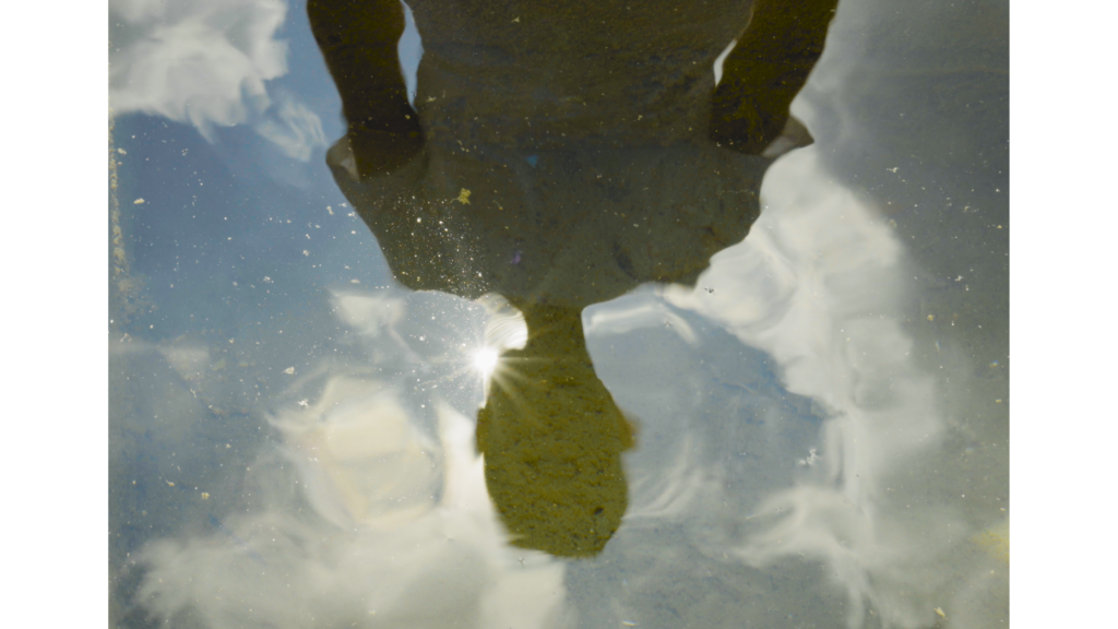 Halil Can Akbulut'tan Ağustos Düşleri, Ischia Global Film Ve Müzik ...